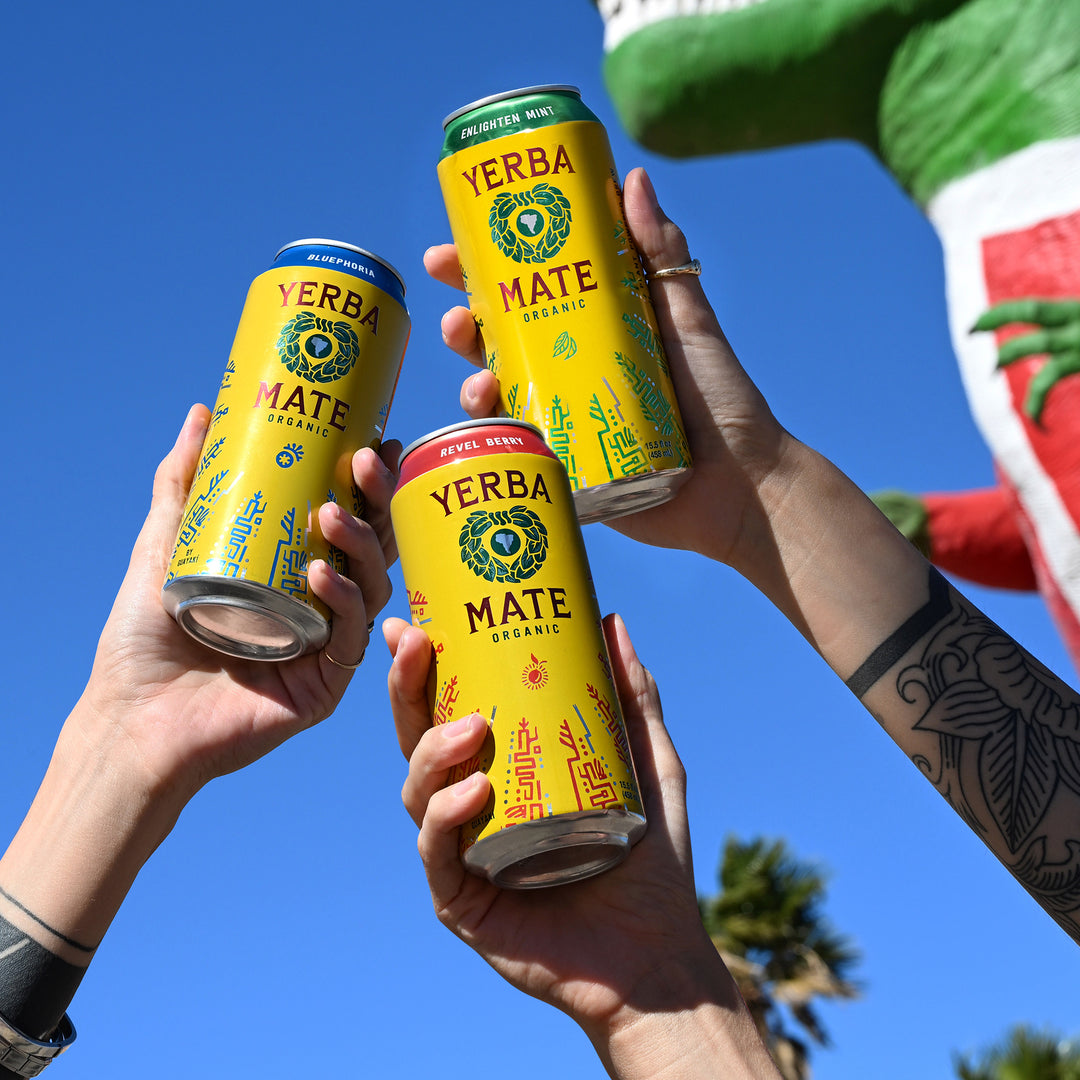 Best Sellers Variety Pack – Yerba Madre